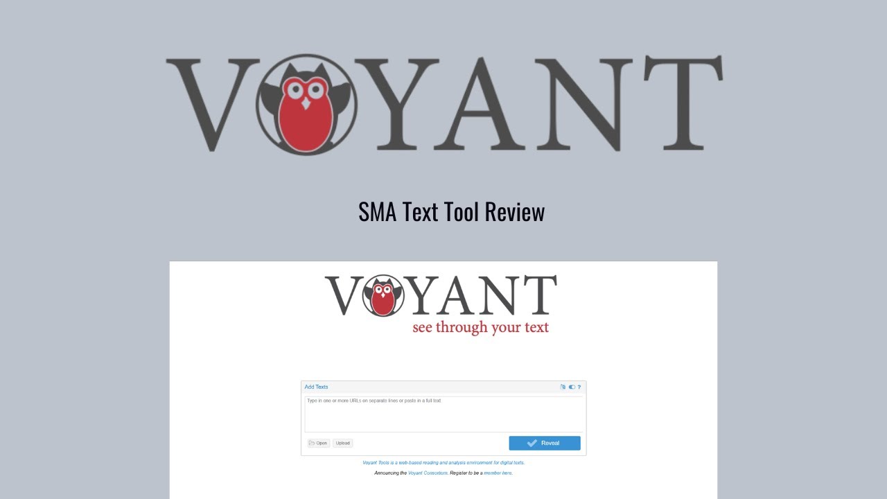 Analytics text data using VOYANT