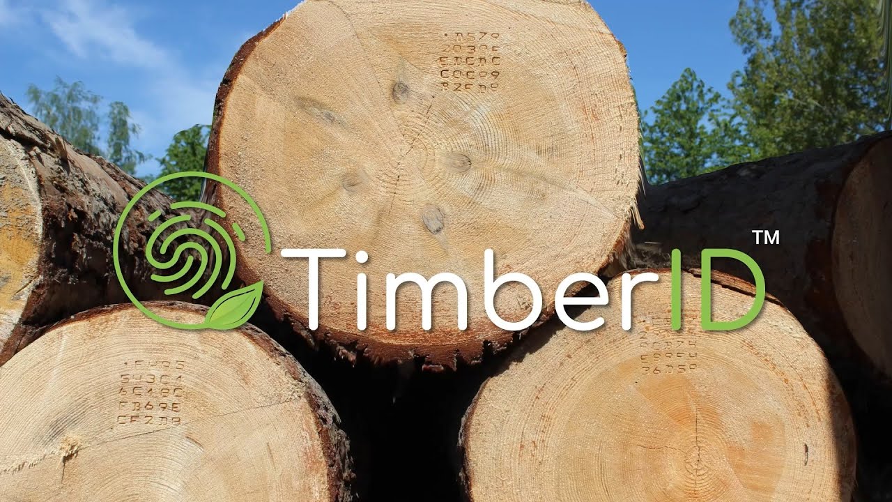 #Deeplai #TimberID - Timber log geolocation proof to the source, Dcode
