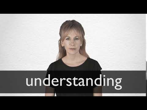 UNDERSTANDING - Definition & Translations | Collins English Dictionary