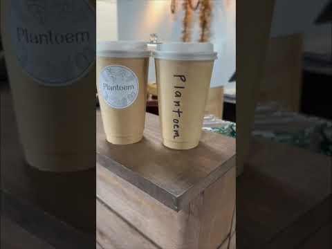 Cool Plant Shop and Community Garden Cafe in Honolulu [Hawaii Vlog]
