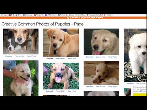 Creative Commons Images