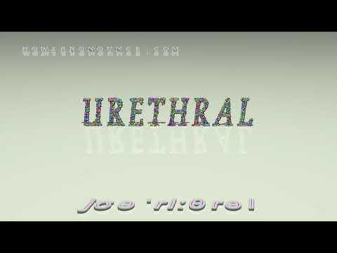urethral - pronunciation