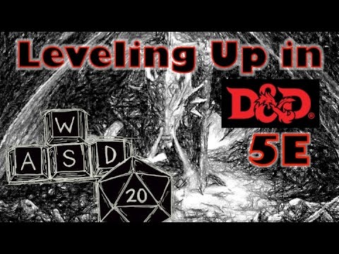 Level Up! Dungeons & Dragons 5th Edition