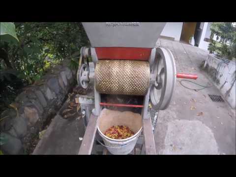 Coffee Pulping Machine at Best Price in India