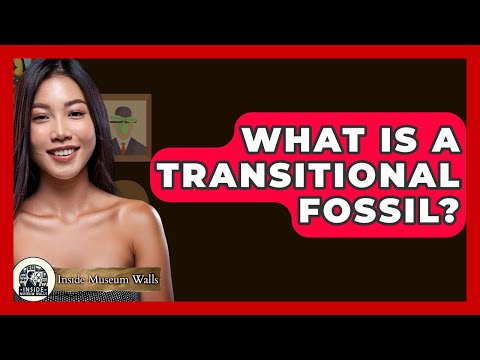 What Is A Transitional Fossil? - Inside Museum Walls