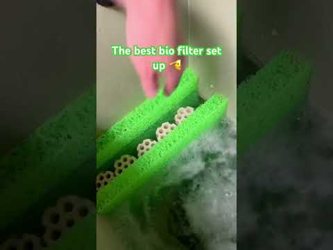 Set biofilter terbaik untuk kolam koi Anda! Banyak ruang untuk bakteri kolonisasi! #koifilter #koi