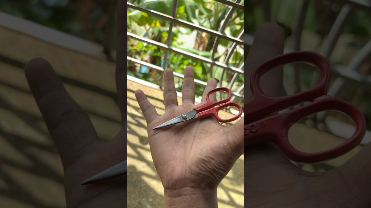 SUPER GREEN AND SUPER BROWN # anyuniqueanimals #insects #wildlife #cuteinsect106