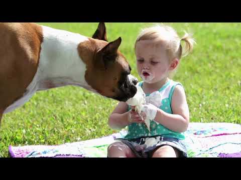 Nationwide Pet | Pets Are Love | :30