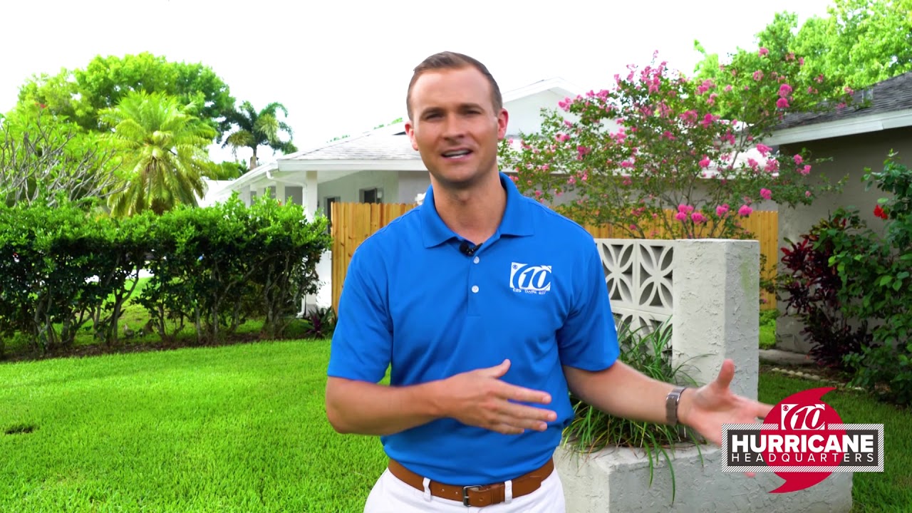 HURRICANE PREP: How to trim your trees before a storm | 10News WTSP