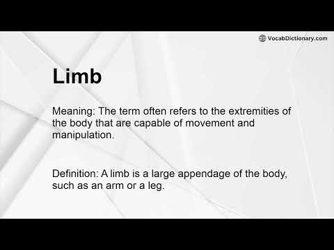 Limb Meaning