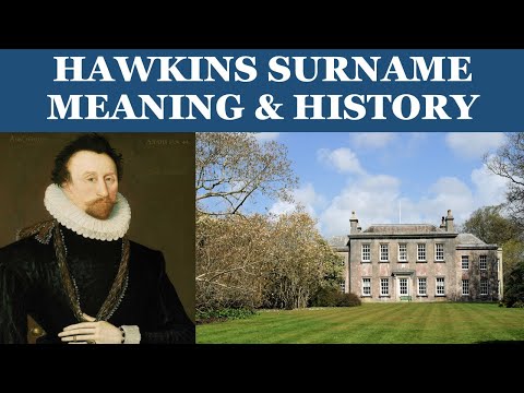 Hawkins Surname History