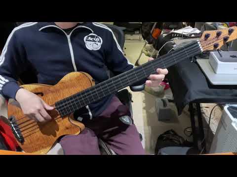 Rob Allen Deep 5 Fretless Bass Guitar | Reverb