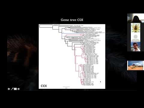 Molecular Phylogenetics and Systematics 3: Daniela Candia-Ramirez