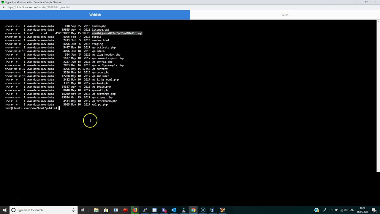 Export WordPress MySQL Database using WP CLI wp db export command