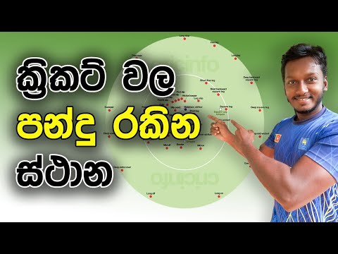 Cricket Fielding Positions | Fielding JayA