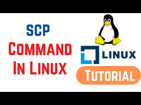 scp command - SCP to Securely Transfer Files/Folders in Linux