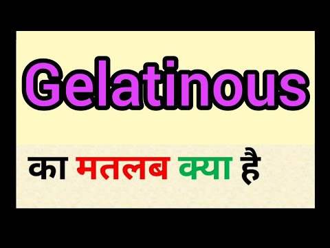 Gelatinous meaning in hindi || gelatinous ka matlab kya hota hai || word meaning english to hindi