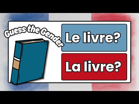 French Gender Quiz: Test Your French Vocabulary for Beginners