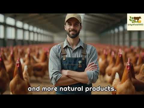 Poultry Farming: what you need to know