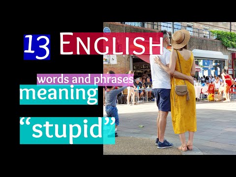 13 English words and phrases meaning “stupid” [+London Street Photography]