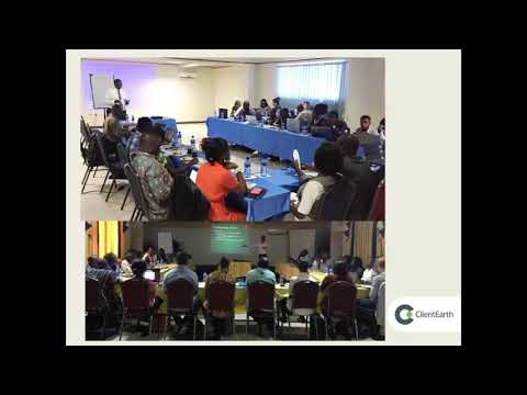 Using the Law to Improve Forest Governance | SOAS University of London