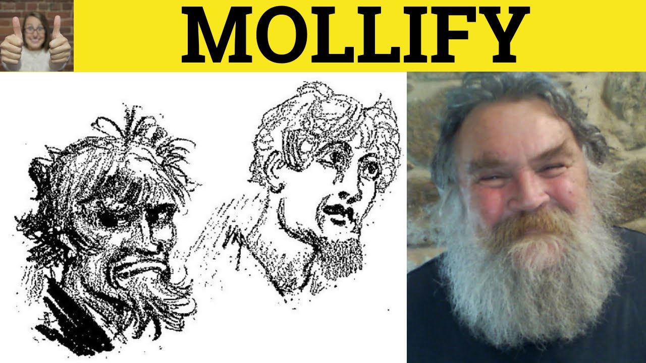 🔵 Mollify Defined - Mollify Meaning - Mollify Examples - Mollify Definition - Mollification Means