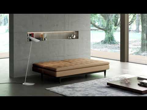 Sealy Sofa Convertibles