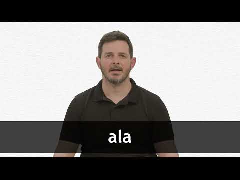 Traducción en inglés de “ALA” | Collins Diccionario español-inglés