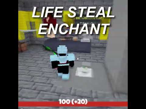 The NEW LIFESTEAL Enchant is broken...