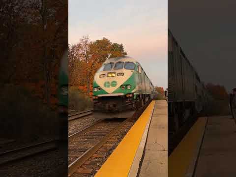 Fall Vibes! #canada #fall #autumn #season #2024 #train #railway #nature #fallcolors #colors #october