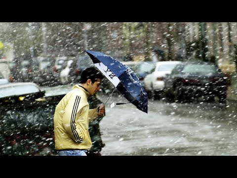 What Is a Snow Squall?