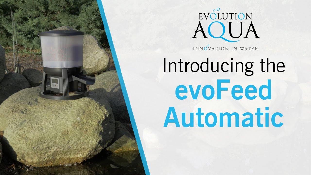 evoFeed Automatic by Evolution Aqua