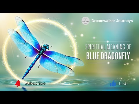 Spiritual Meaning of a Blue Dragonfly: Transformation, Wisdom & Truth