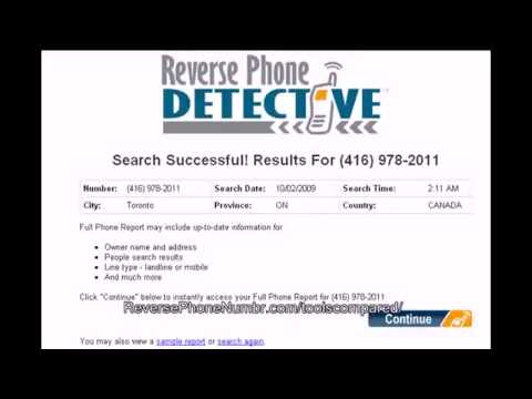 Detecting Phone Detective Service Phone Number Owner