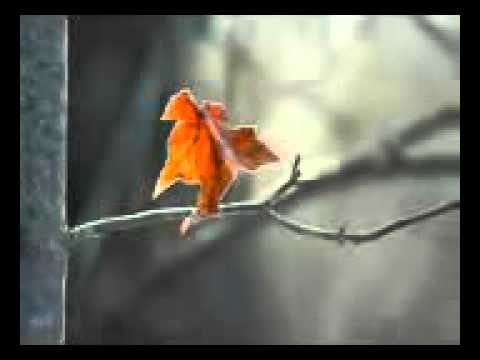 Best Hindi Sad Song ever By Keyur Patel mp4 YouTube