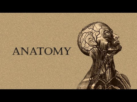 BASIC ANATOMICAL TERMINOLOGY