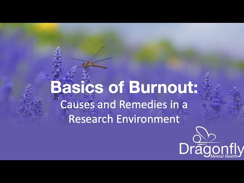 Basics of Burnout