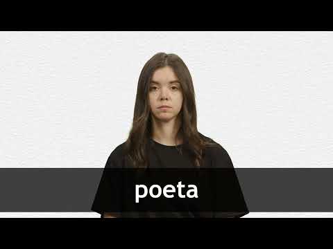 English Translation of “POETA” | Collins Spanish-English Dictionary