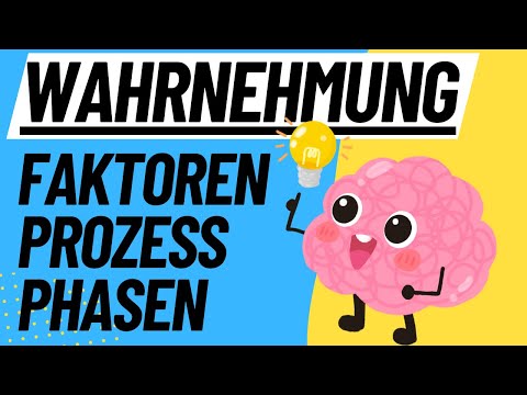 WAHRNEHMUNG in der Pädagogik und Psychologie - Wahrnehmungsprozess, Phasen & Co | EZRIEHERKANAL