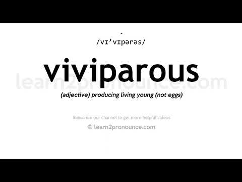 How to pronounce Viviparous | English pronunciation