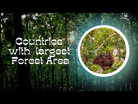 Top 10 Countries with largest forest Area .