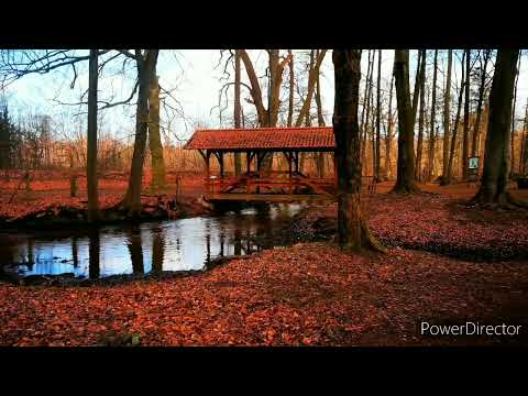 Discover Peace in Nature: Autumn River Sounds for Relaxation #nature