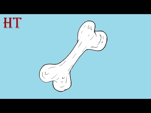 How to draw A Dog Bone Step by Step – I'm Youtuber – Follow my videos ...