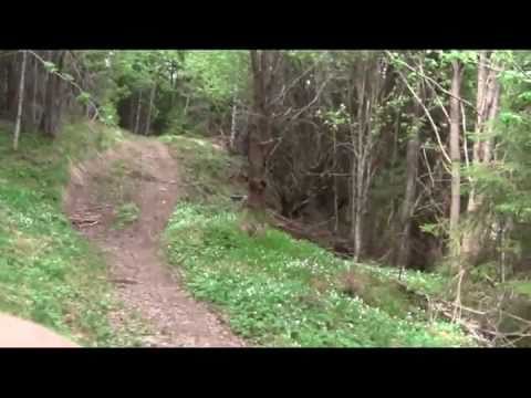 Trail.mp4