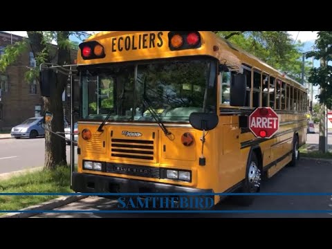 2014 Blue Bird TC 3000