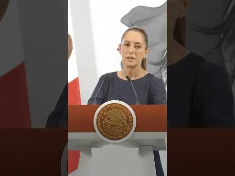 Mexico Rejects Trump's Offer to Send in US Troops