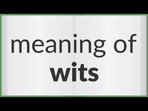Wits | meaning of Wits
