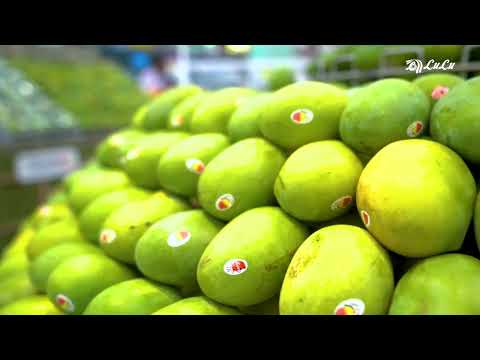 Mango Promotion