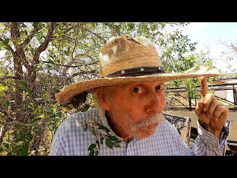 Iconic Dean Moon “Moonburst” Dragster Found After 43 Years in Storage ...