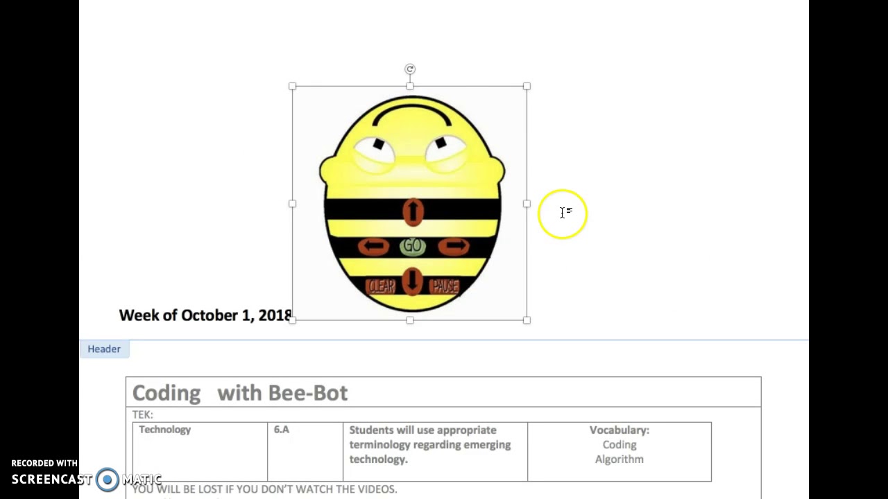 BEE BOT Lesson 1
